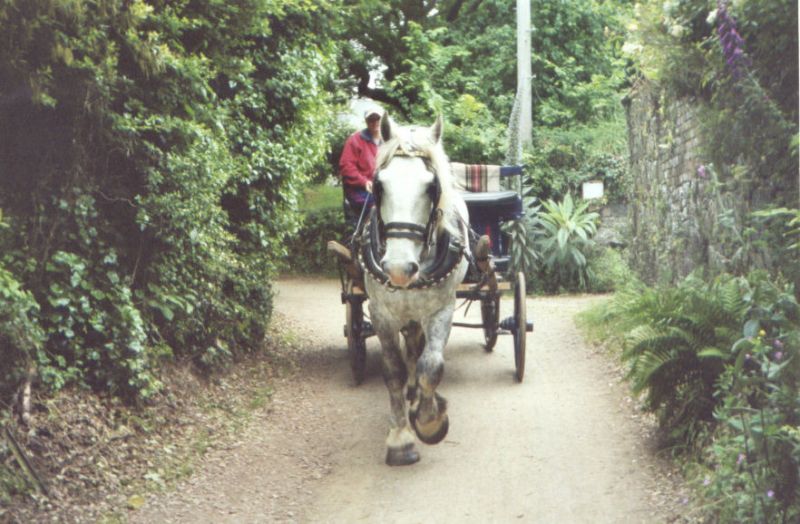 Sark Carriages Photo Gallery